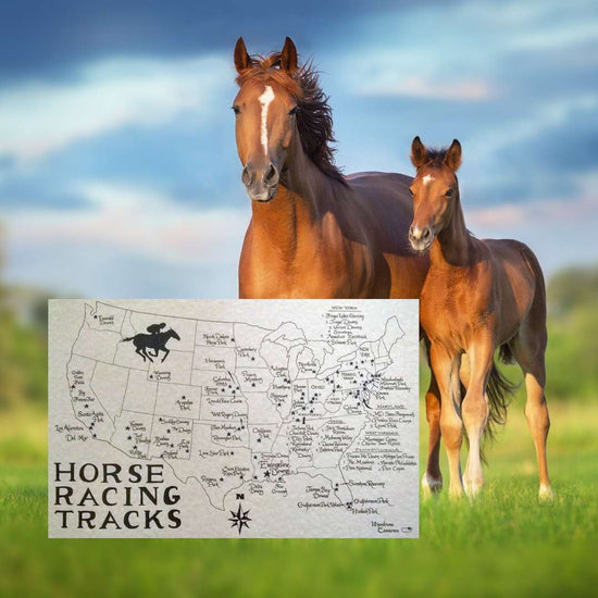 U.S. Horse Racing Tracks Map – Hand-Drawn Gift for Horse Lovers – JNJ ...